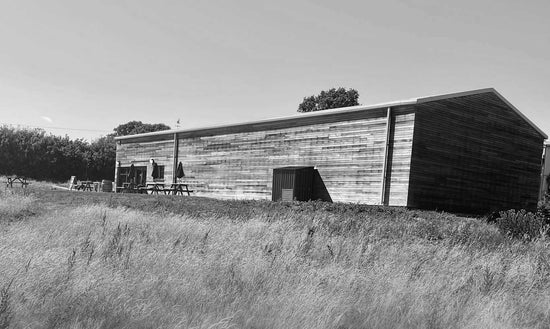 OFF THE LINE VINEYARD – offthelinevineyard