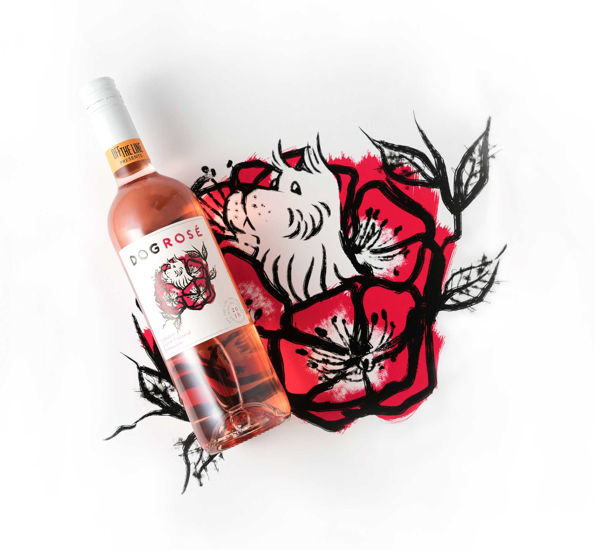 OFF THE LINE VINEYARD – offthelinevineyard