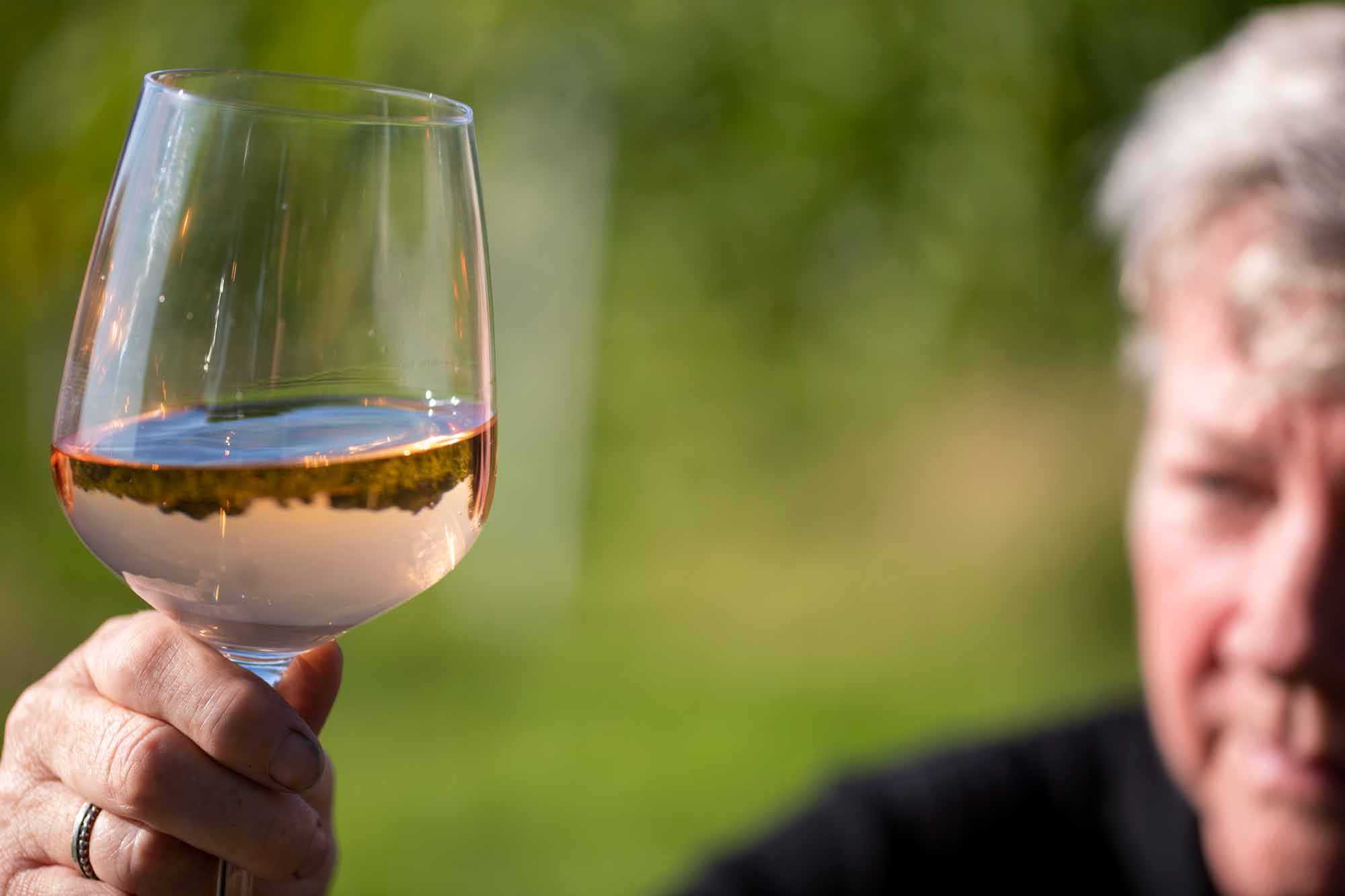 About – offthelinevineyard